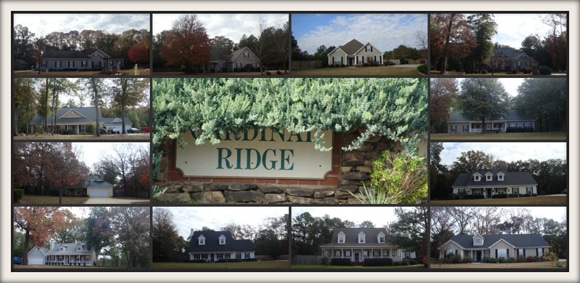 Cardinal Ridge Subdivision in Kathleen Georgia 31047