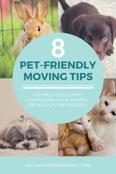 Relocation Tips when Moving with Pets