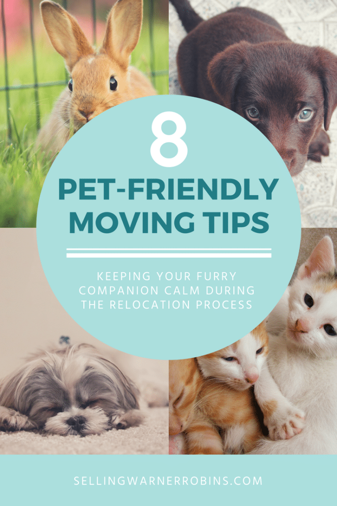 Relocation Tips when Moving with Pets