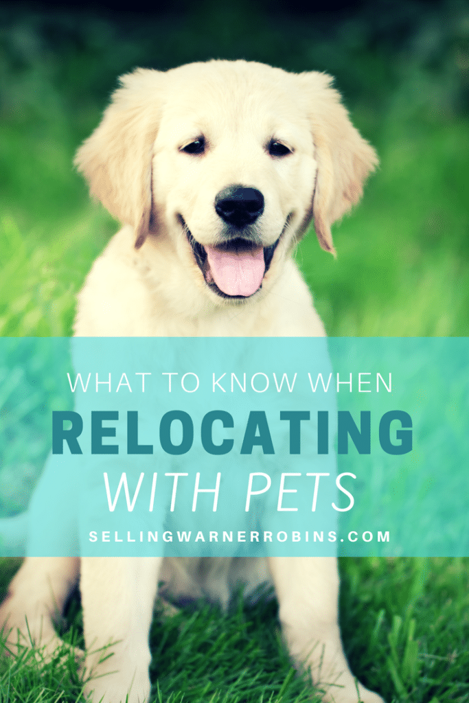 Relocation Tips when Moving with Pets